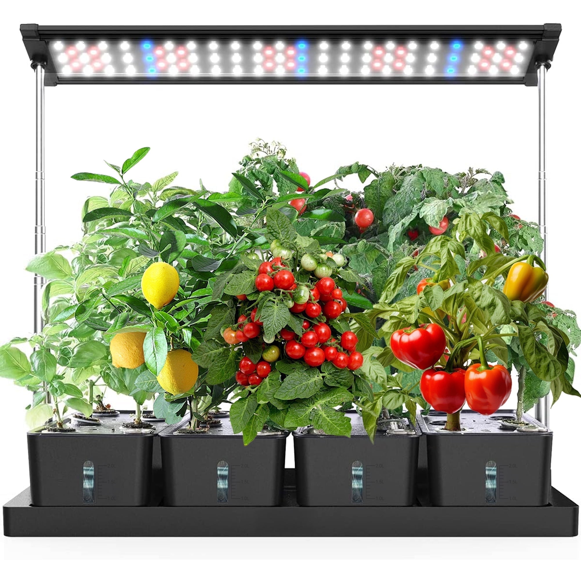 Indoor Hydroponics Growing System - 20 Pods Indoor Herb Garden with LED ...