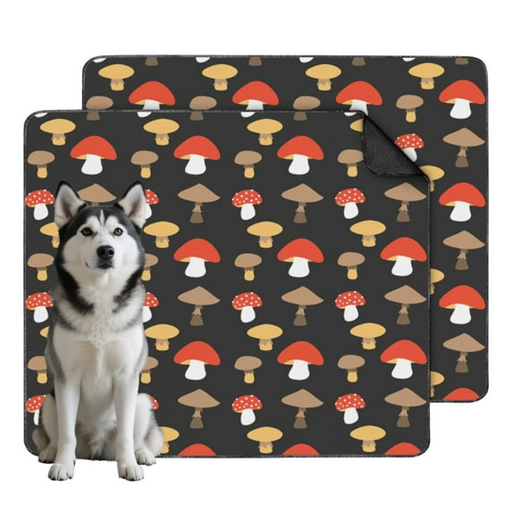 Indoor Management 35"x41" Washable Pet Potty Pads, Reusable Training ...