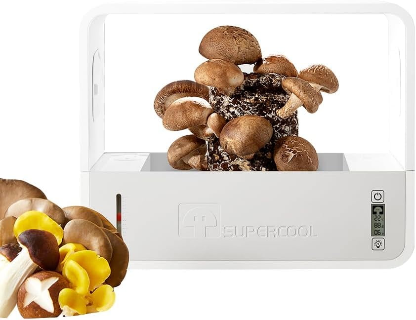 Indoor Mushroom Growing kit Includes Mushroom Grow Light,Fresh air ...