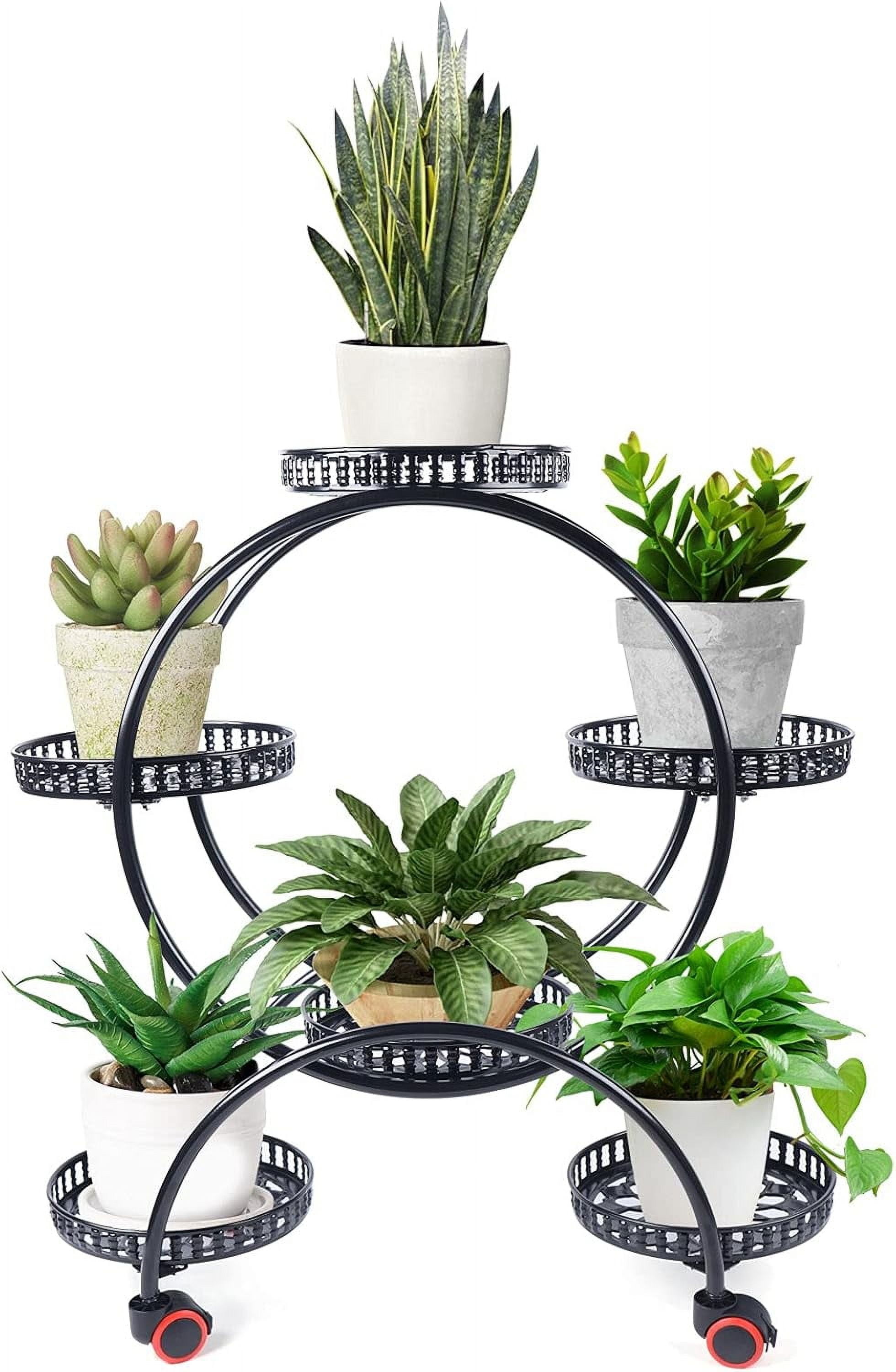 Indoor Outdoor 6 Pot Stand with Rollers, Black Round-Shaped Flower Pots ...