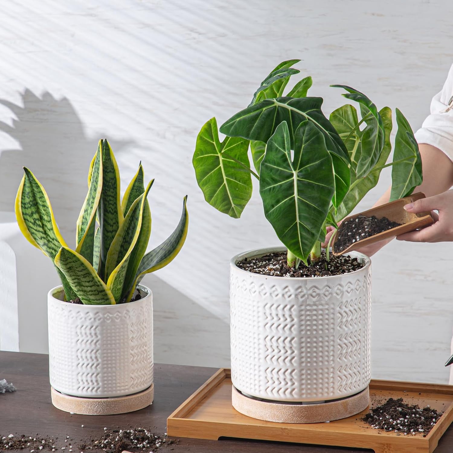 Indoor-Outdoor Ceramic Plant Pots: 8 Inch Flower Pots with Drainage ...