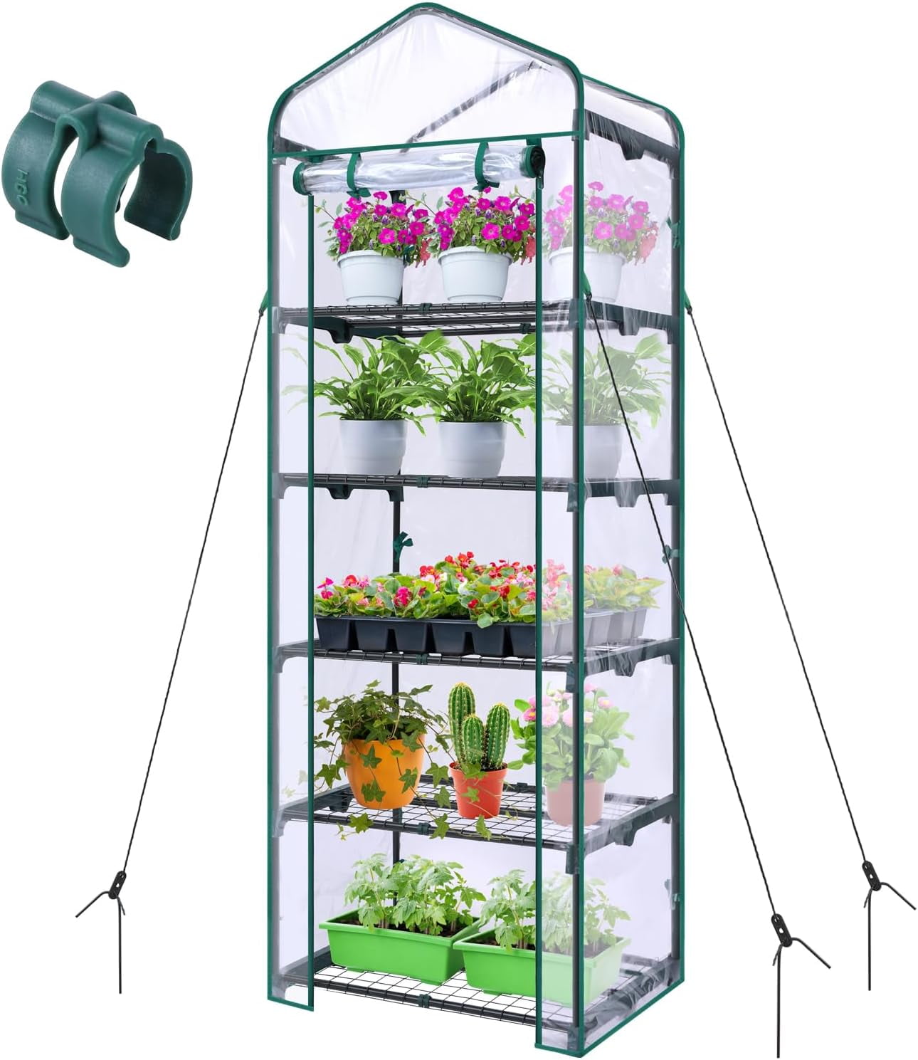 Indoor and Outdoor Mini Greenhouse: Small Greenhouse with 4-Tier ...
