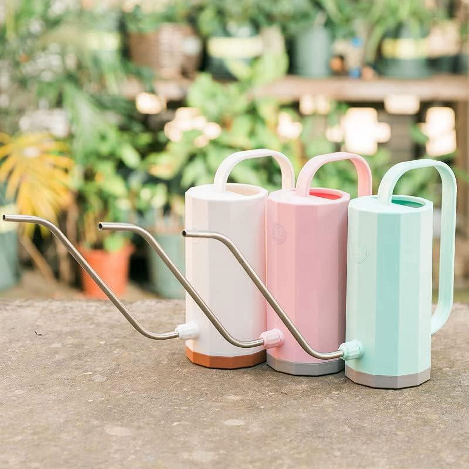 Indoor Plant Watering Can with a Long Spill-Proof and Smooth Spout ...