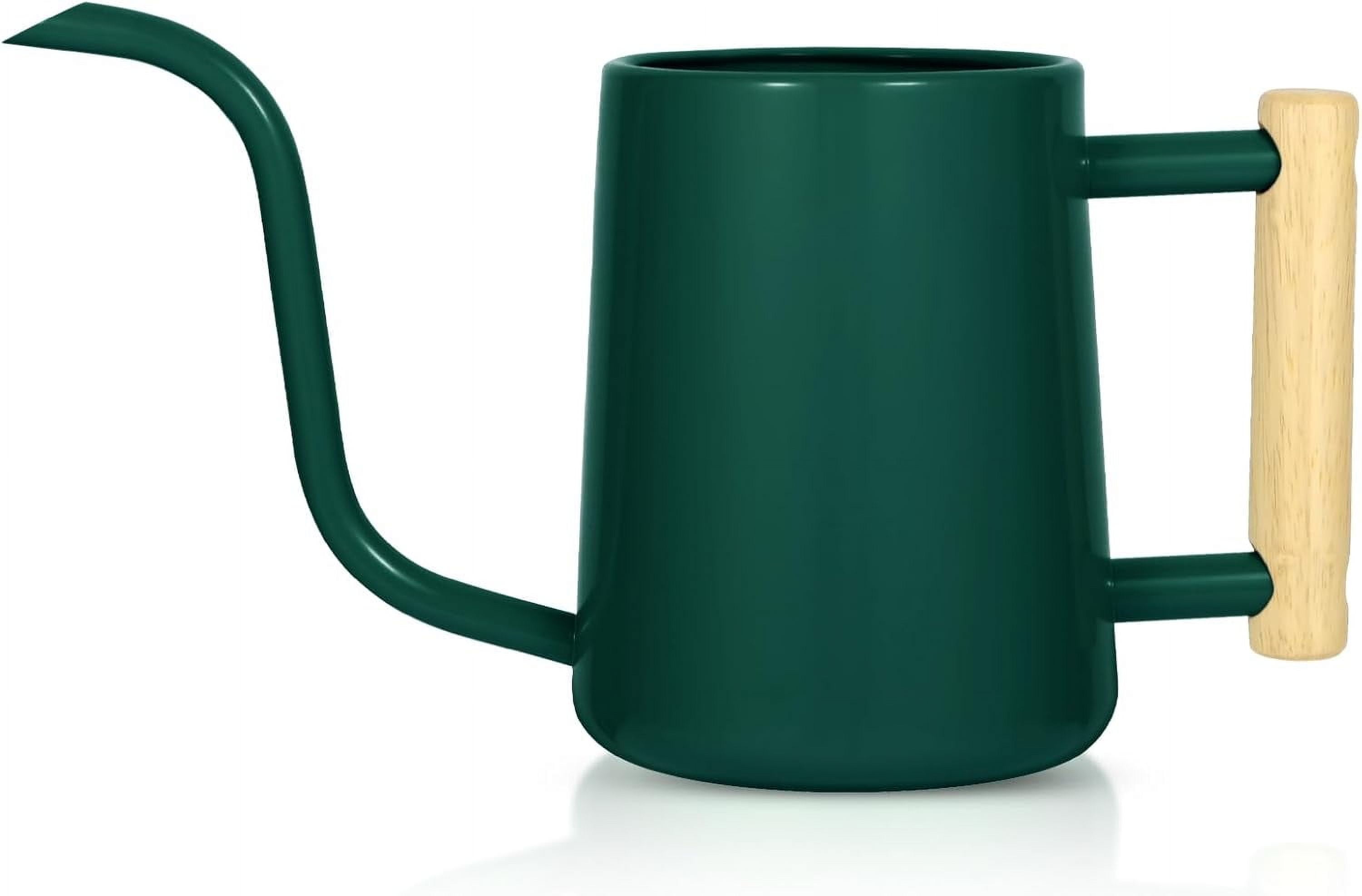 Indoor Plant Watering Kettle, 35 oz/1000 ml Metal Stainless Steel ...