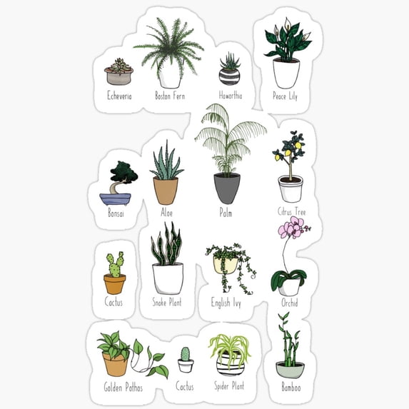 Indoor Plants Sticker Phone Decal Water Bottle Stickers Car Decals ...