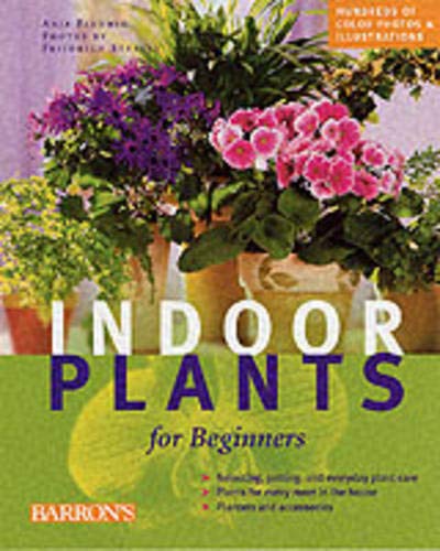 Pre-Owned Indoor Plants for Beginners: Plant Care Basics, Choosing ...