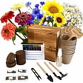 Indoor Starter 4 Kit with Complete Gardening Kit & Wooden Box, Growing ...