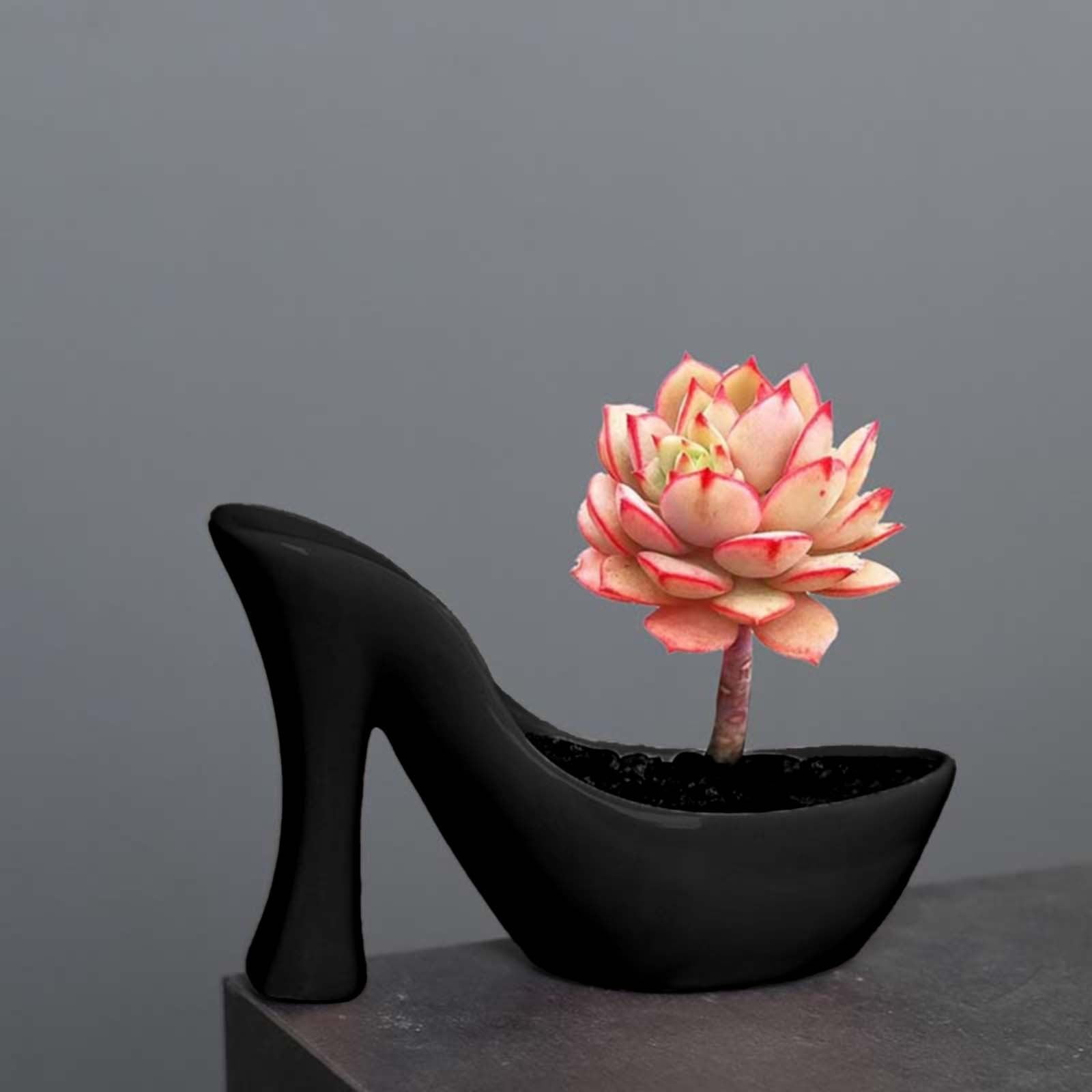 Indoor Succulent Planter - Decorative Flower Pot with Drainage Holes ...