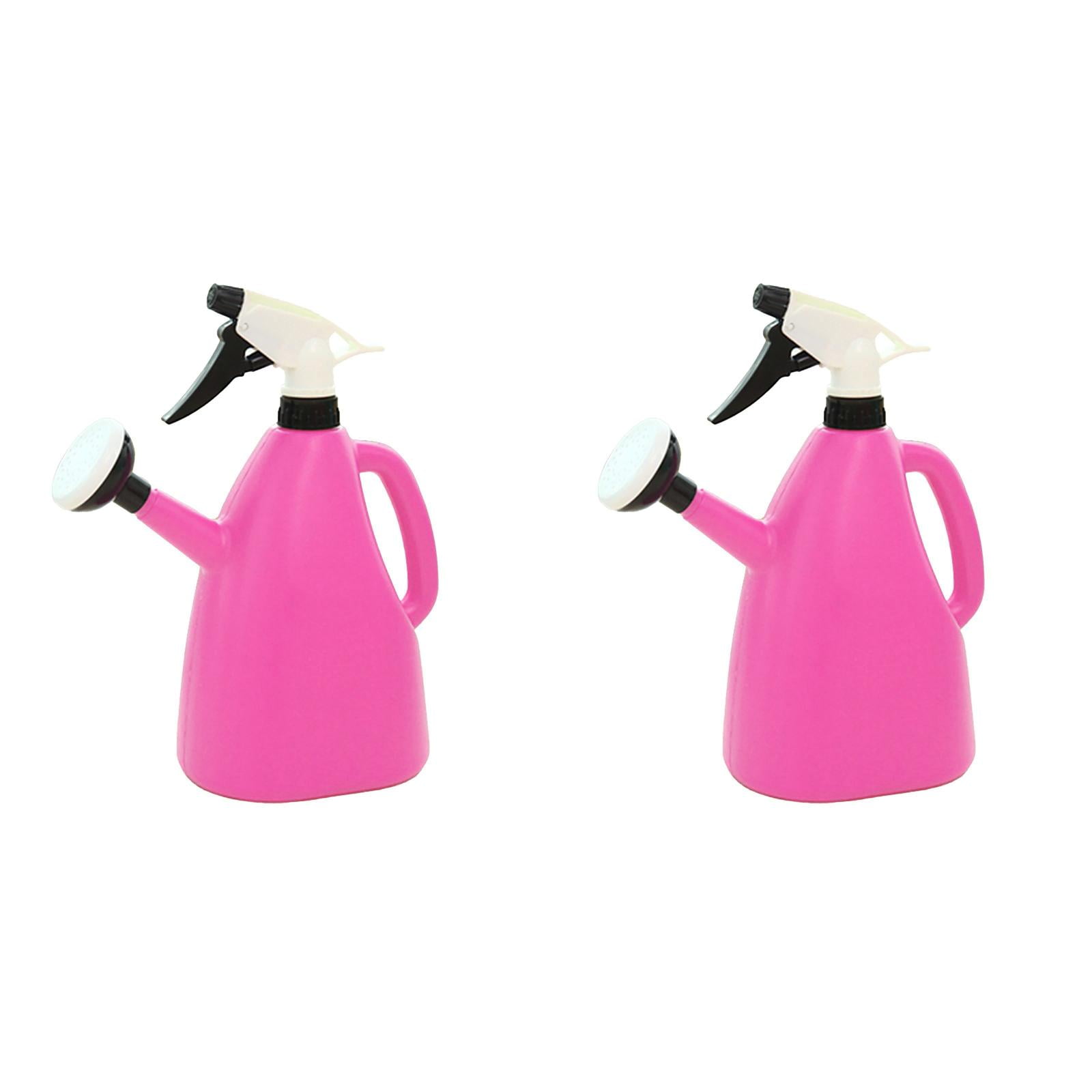 Indoor Watering Can with Sprayer - Mini Watering Bottle for Houseplants ...