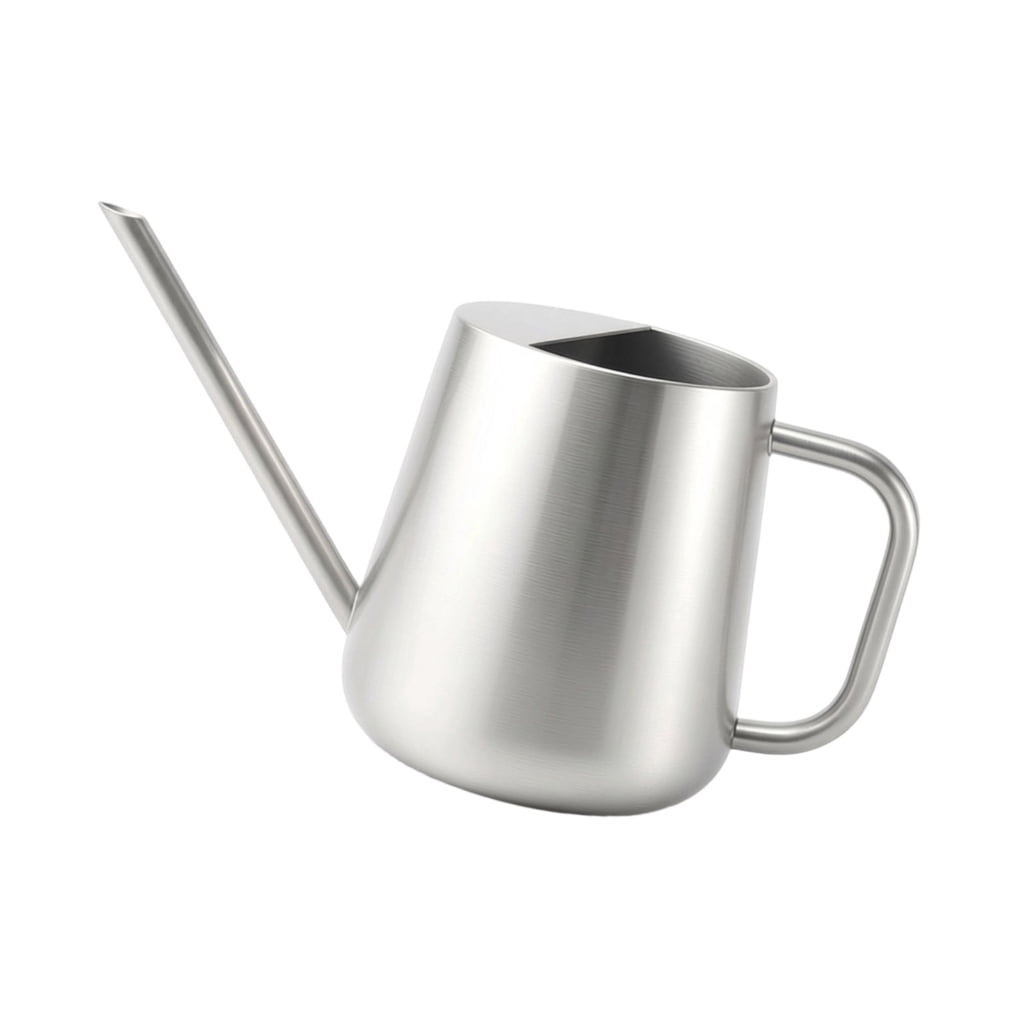 Indoor Watering Can for House Plant Stainless Steel Watering Can with ...