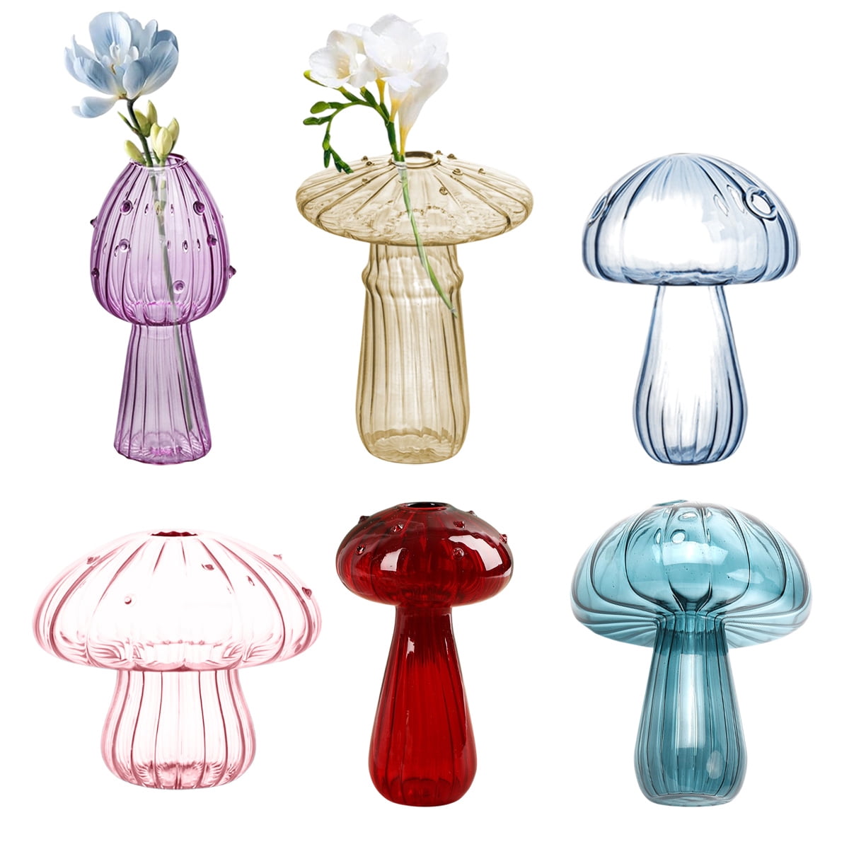 Indoor mushroom glass vase, colorful plant breeding station, mini ...