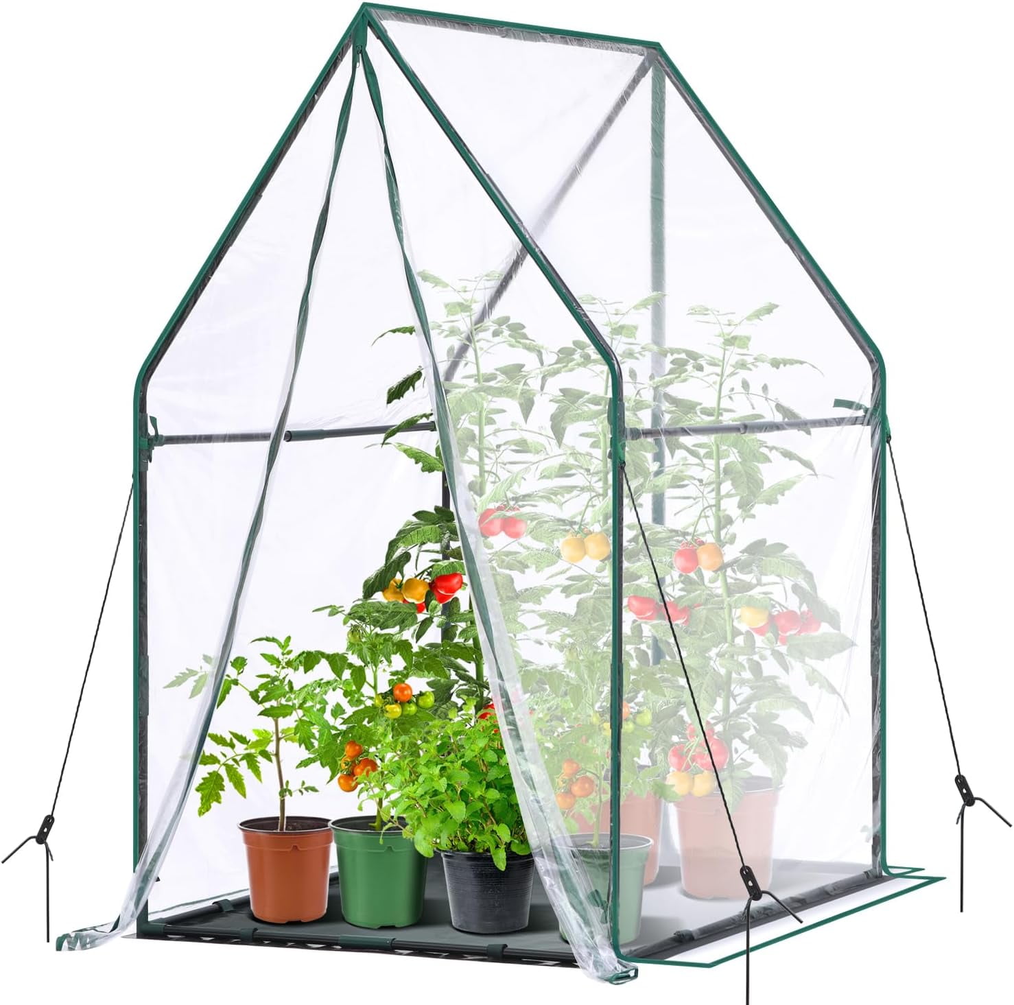 Indoor and outdoor mini greenhouse portable greenhouse with waterproof ...