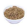 Indrajav Seeds (Kadwa) - 100% Pure & Natural Indrajao / Holarrhena ...