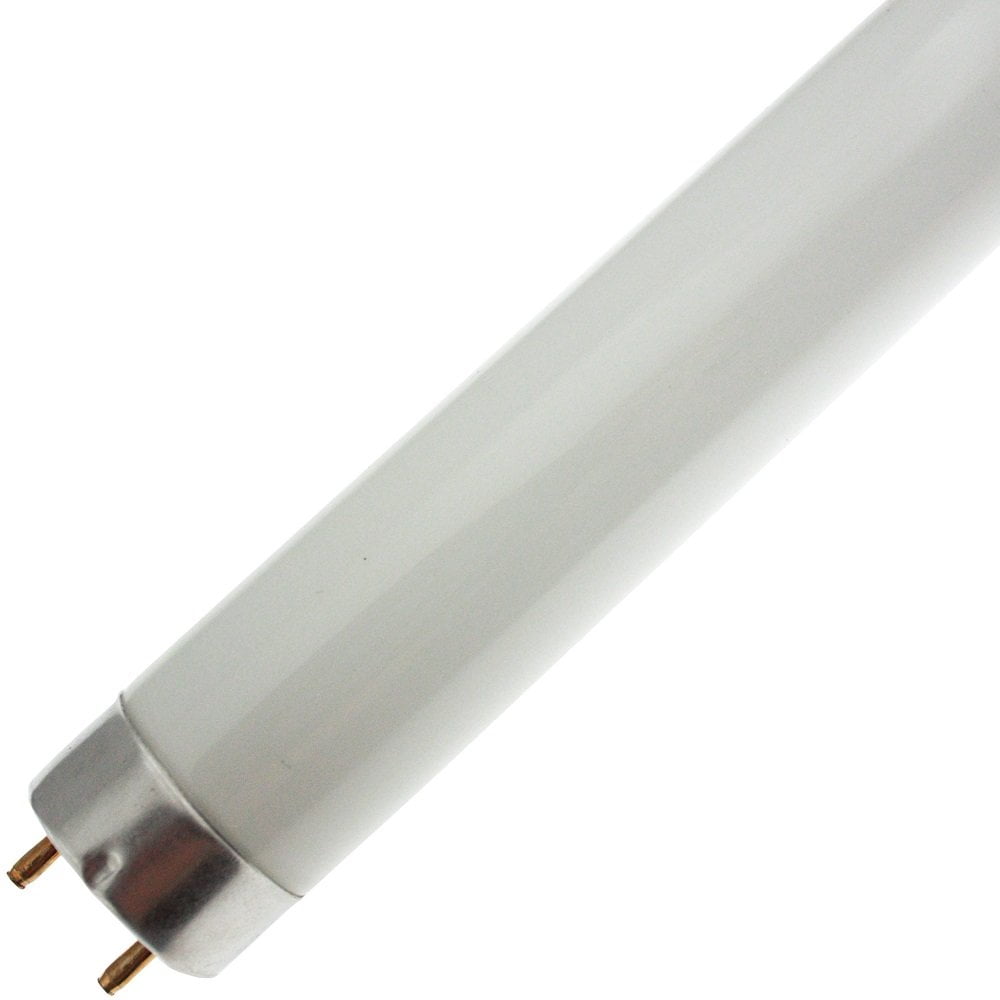 Industrial Performance F32T8/841/ECO, 32 Watt, G13 Base, 4ft Fluorescent Tube Light Bulb (1 Bulb ...