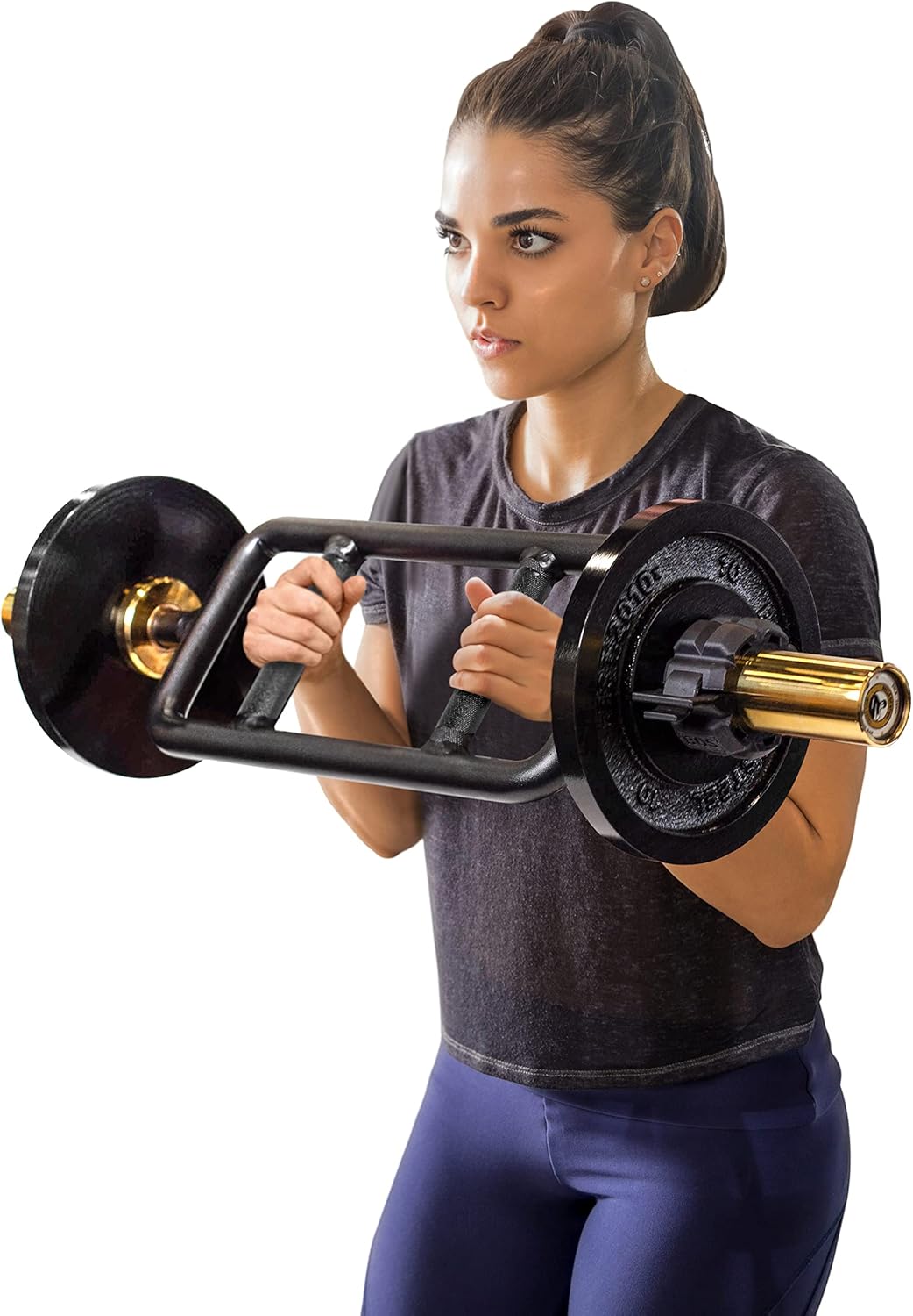 Industrial Tricep Bar - Commercial and Home Gym - Triceps Bar Titanium ...