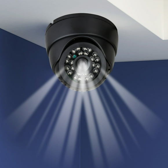 Outdoor Motion Activated Cameras