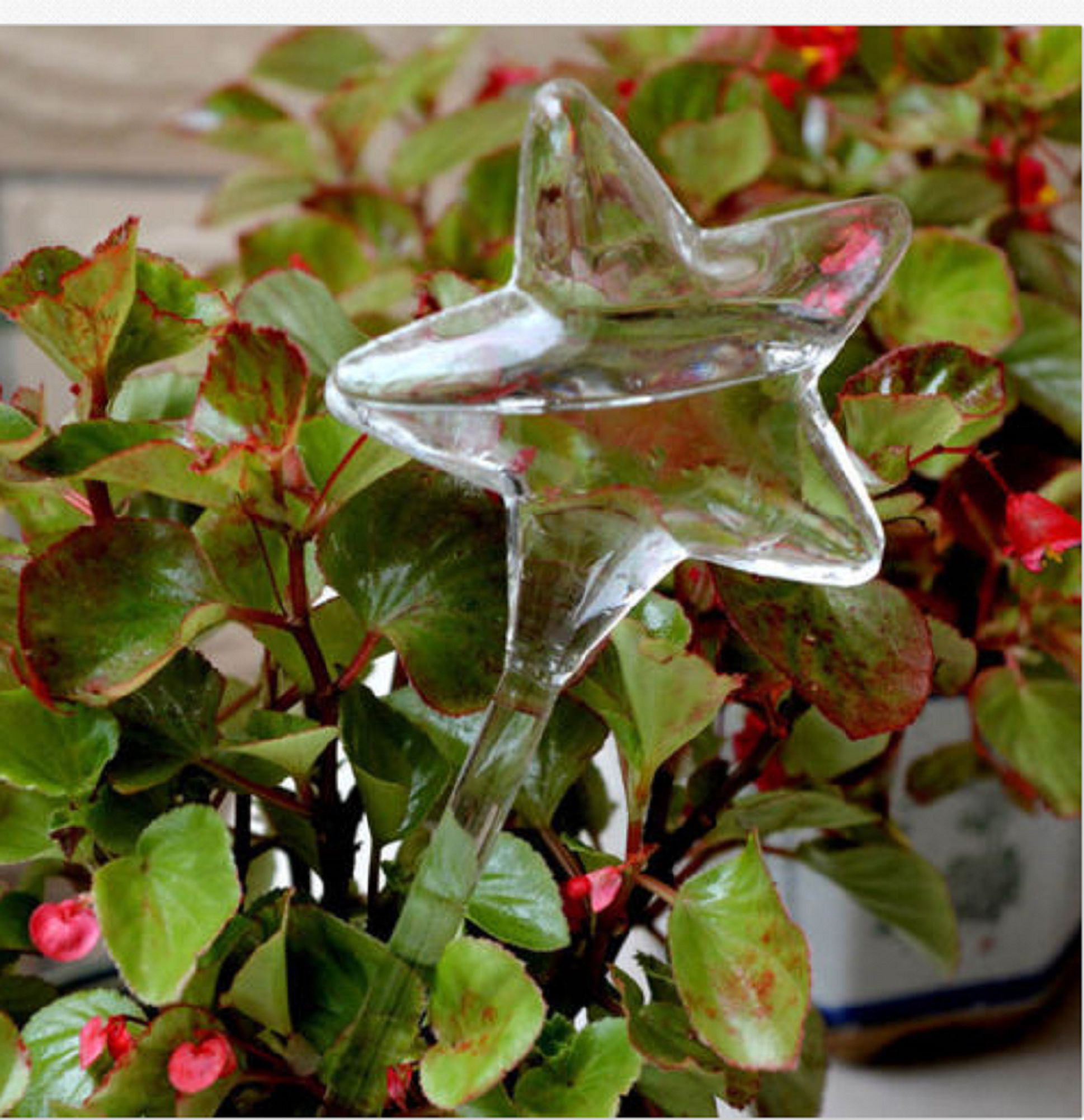 Inevnen Plant Waterer Self Watering Globes Hand Blown Clear Glass ...