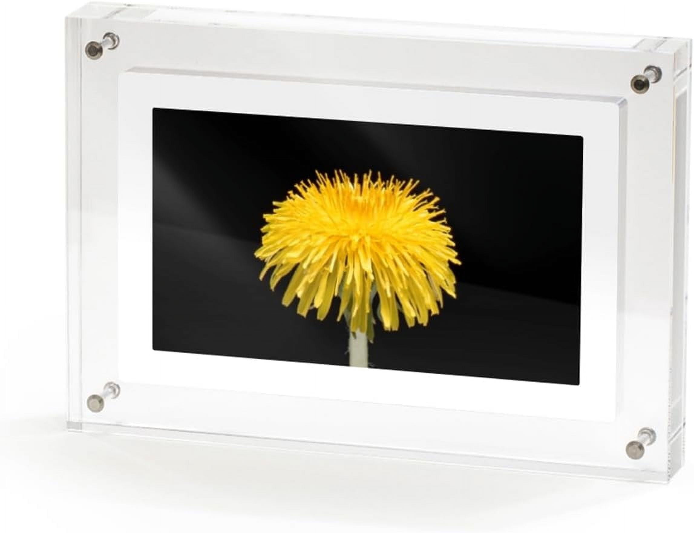 Infinite Objects | Yellow Dandelion | Floral Video Postcards ...
