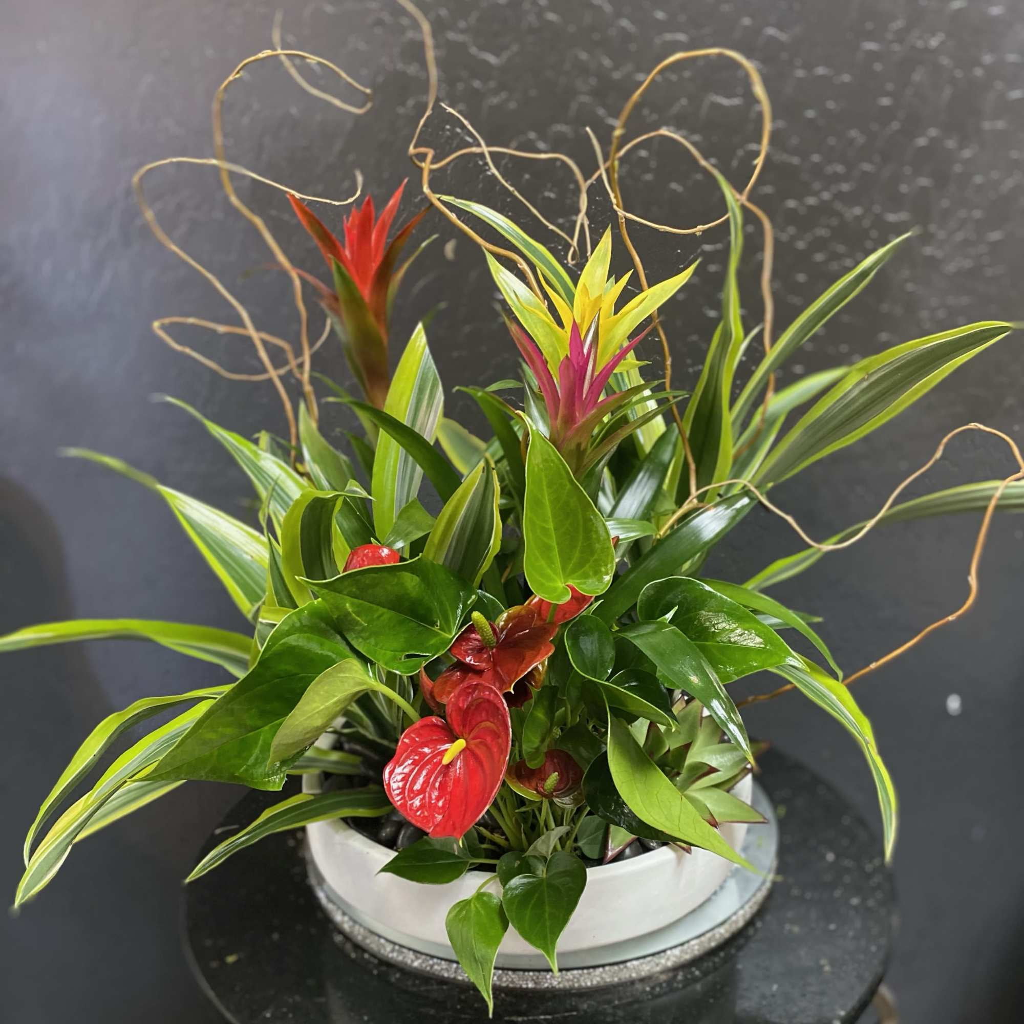 Infinity Floral Designs Tropical Assorted Garden - Walmart.com