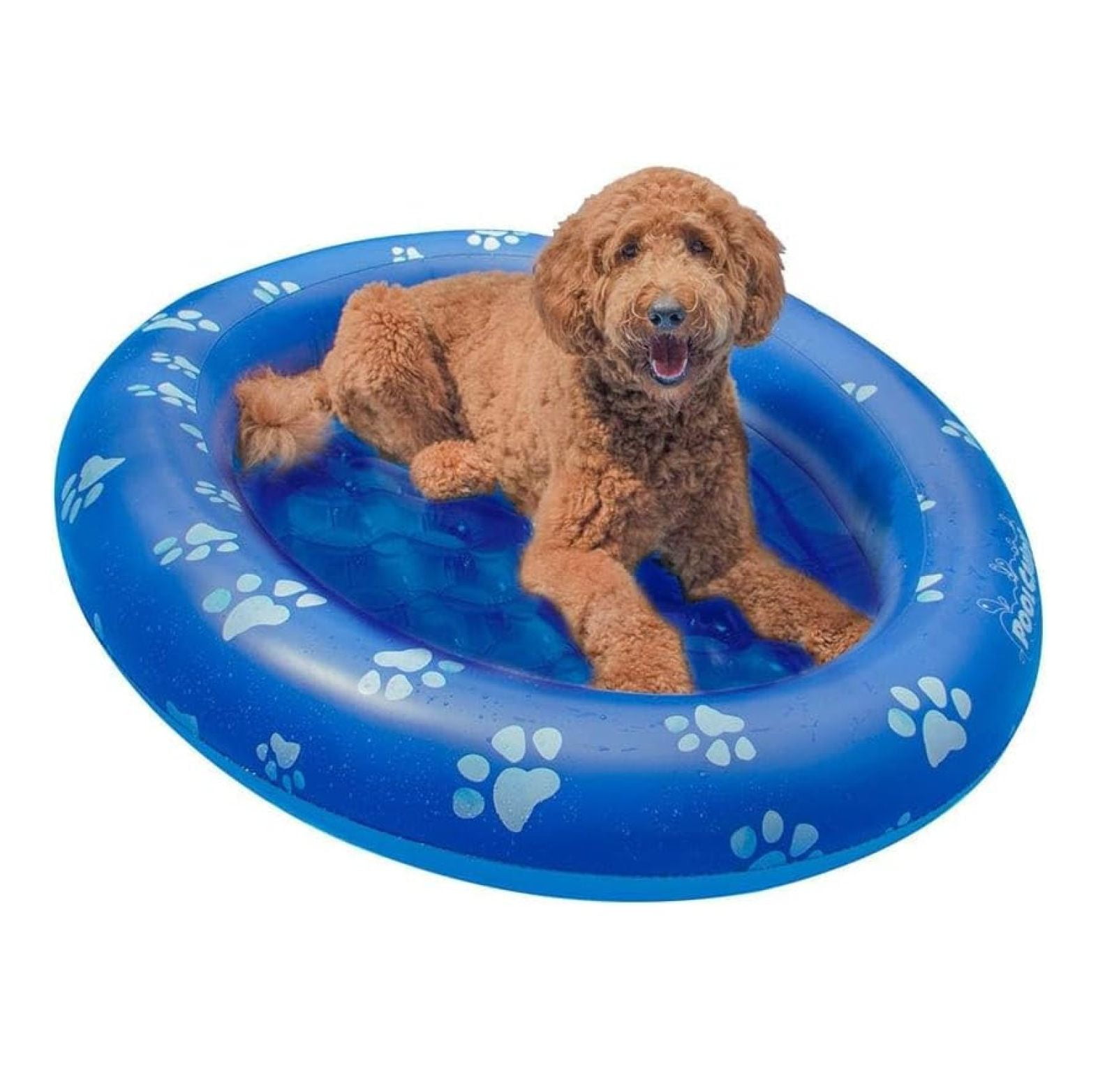 Inflatable Dog Pool Float - Large PAW Design Up to 100lbs - Durable Pet ...