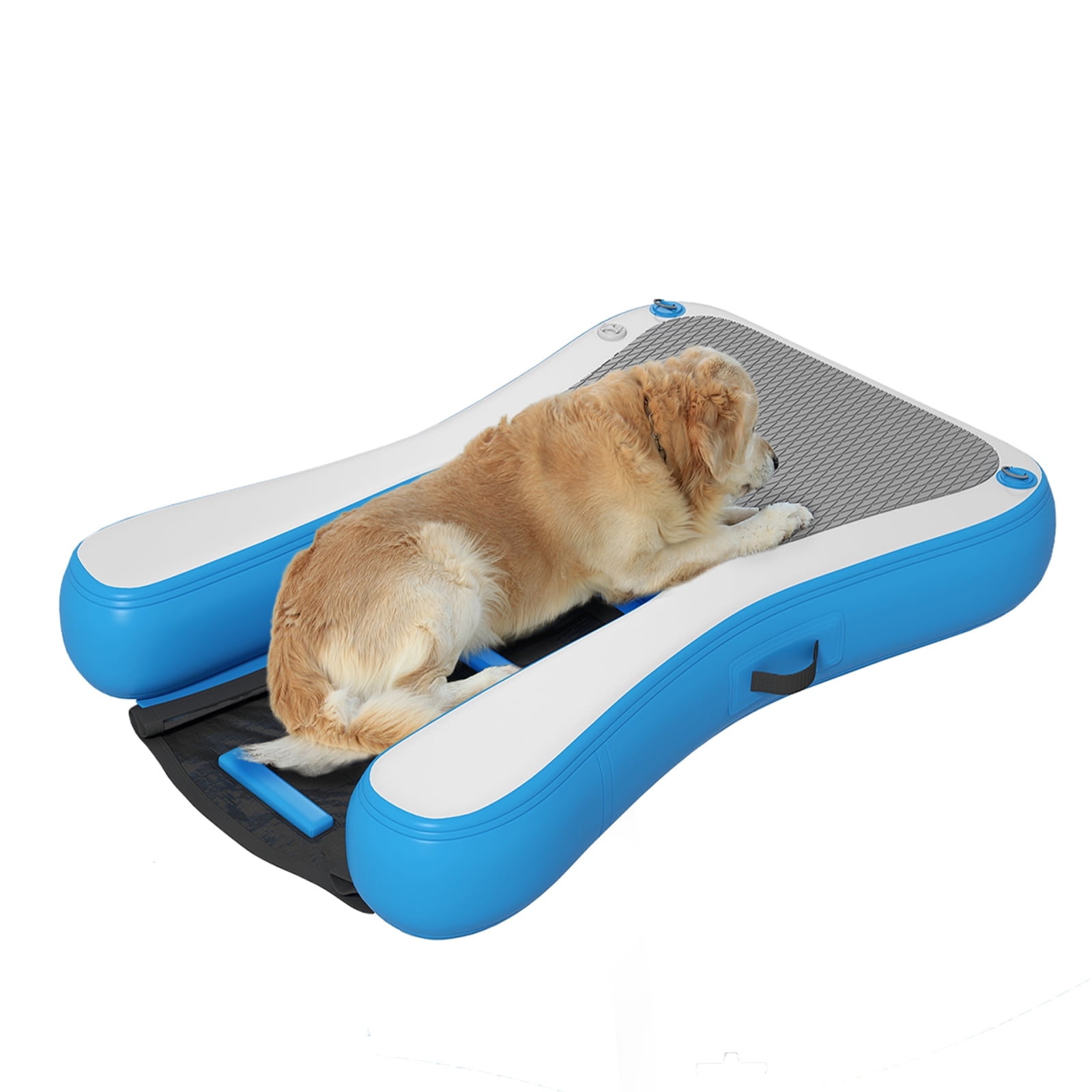 ZephyPaws Inflatable Dog Pool Water Ramp with Dock Platform: Safe ...