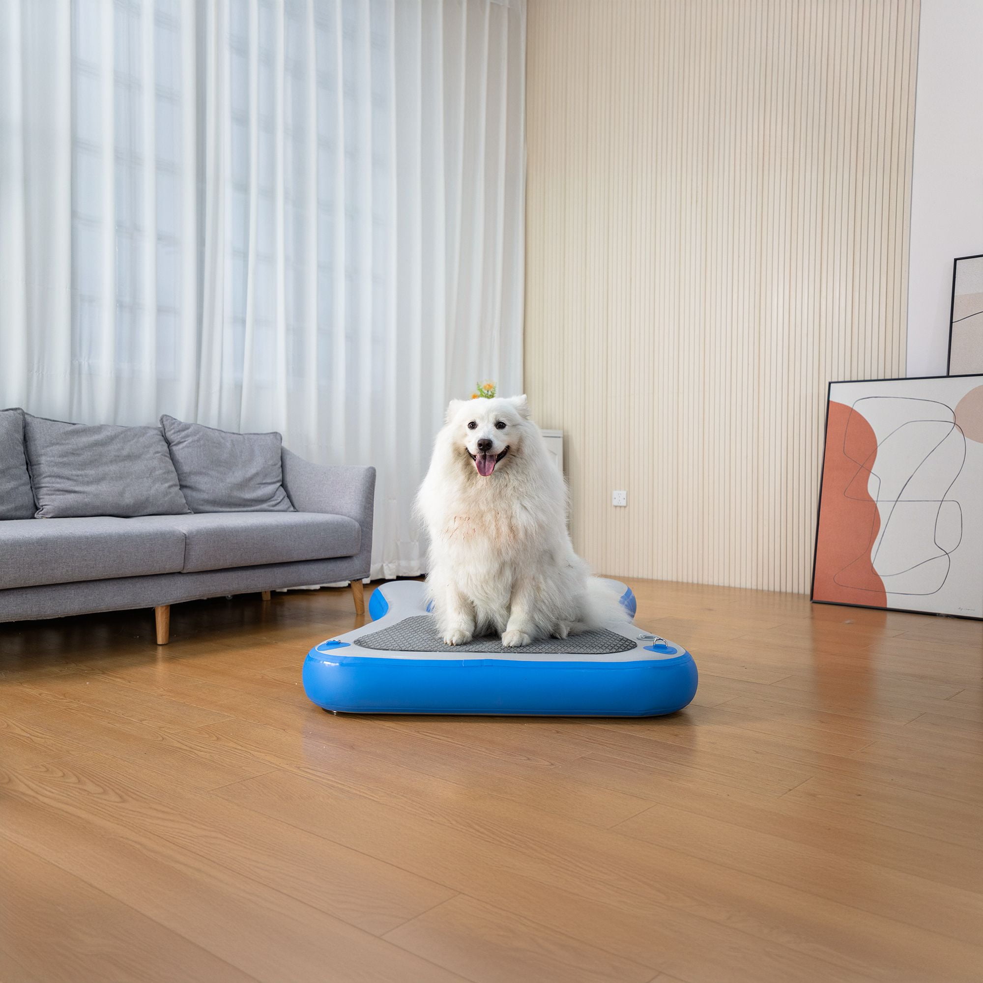 Inflatable Floating Dog Water Ramp Ladder As Picture - Walmart.com