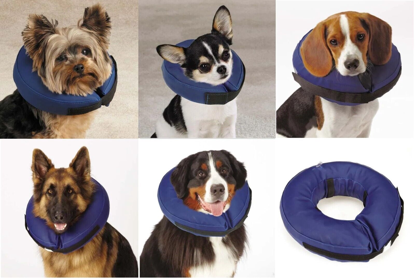 Inflatable Recovery Collars for Dogs Injury Stitch Wound Irritation ...