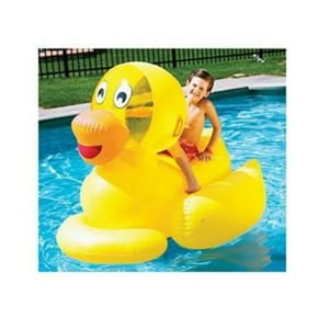 Inflatable Ducks