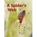 Infocodables Diamond Set 1 A Spider's Web, (Paperback) - Walmart.com