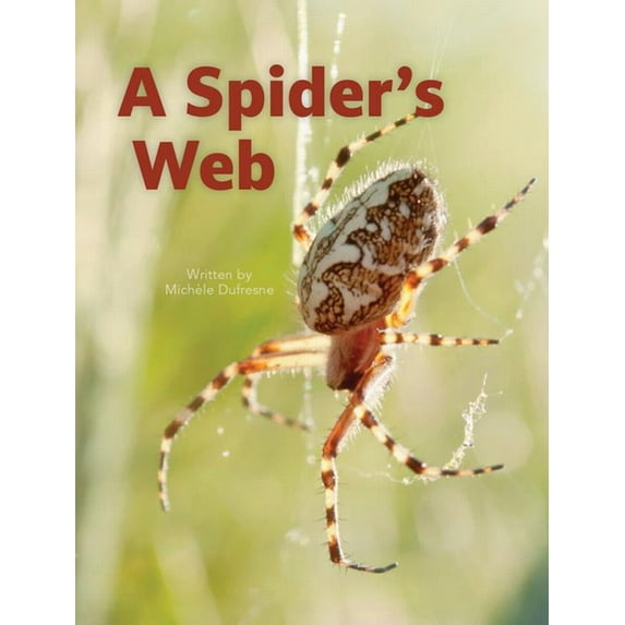 Infocodables Diamond Set 1 A Spider's Web, (Paperback) - Walmart.com