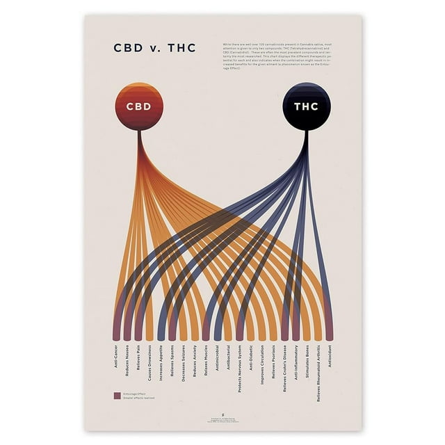 Infographic Print, Cannabis Wellness Poster, Medical Reference Chart ...