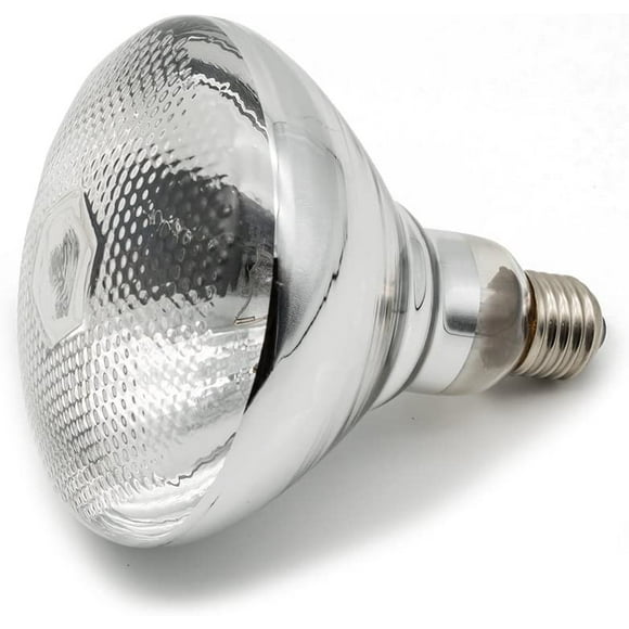 Chick Heat Lamps in Chicken Supplies - Walmart.com