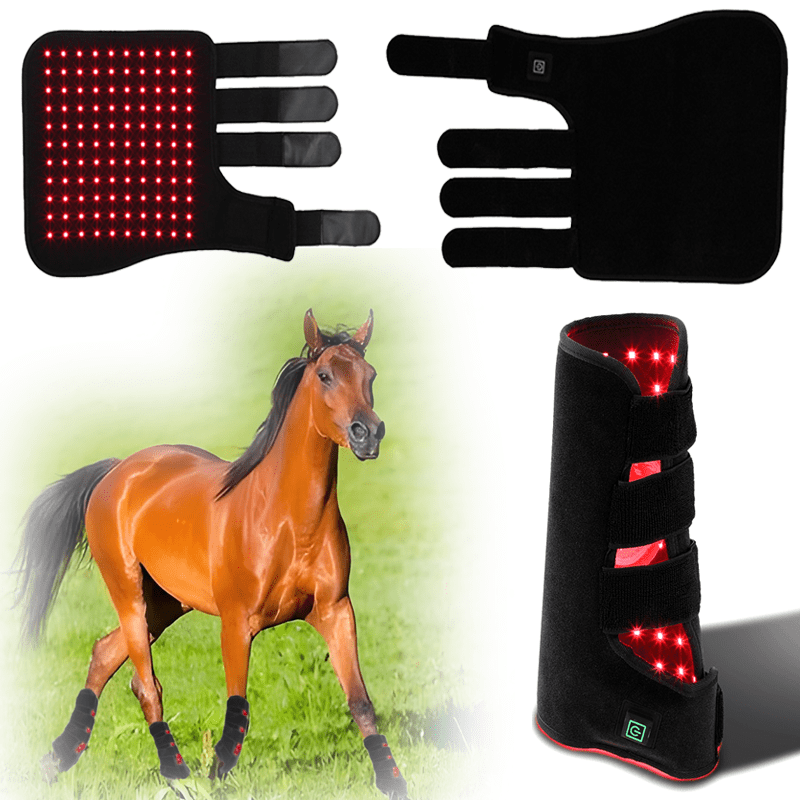Infrared Horse Care Boots,Therapy for Horses - Alleviate Muscle and ...