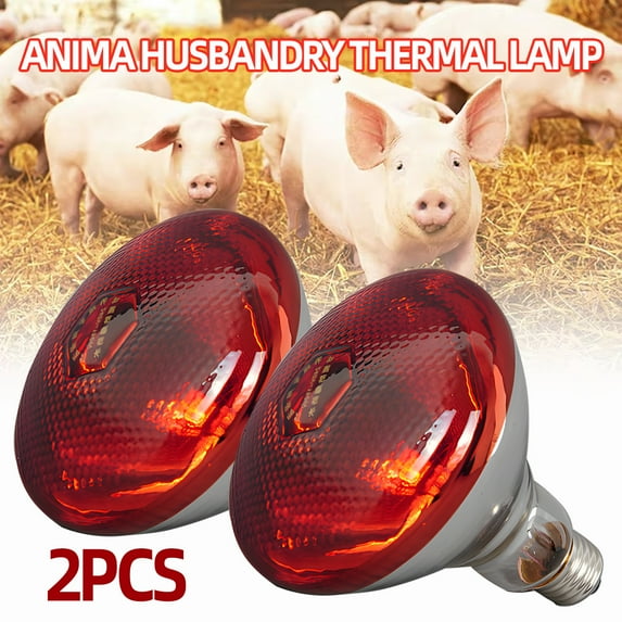 Infrared Light Bulb,Infrared Heat Lamp for Poultry, 250W Infra Red Heat ...