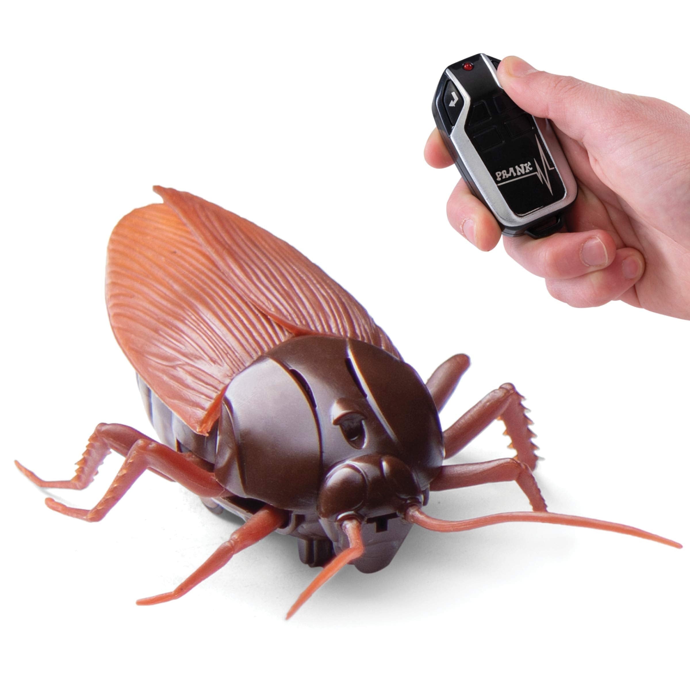 Remote Control Bug Tipmant RC Cockroach Toy Remote Control Roach Insect ...