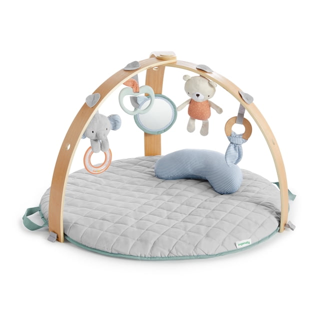 Ingenuity Cozy Spot Foldable Infant Baby Activity Gym, Reversible ...