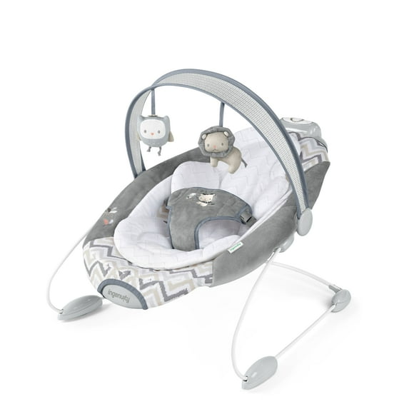 Baby Bouncers in Baby Bouncers & Rockers - Walmart.com