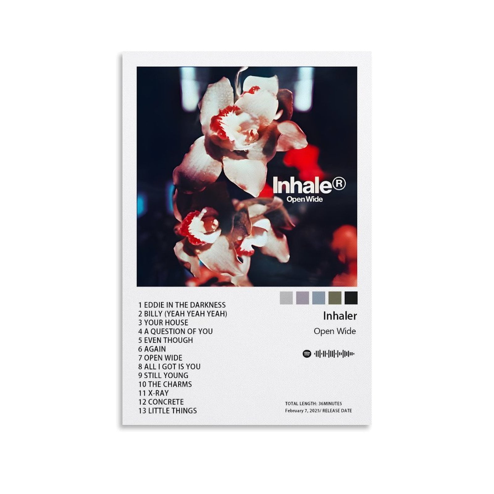 Inhaler Open Wide Album Cover Poster Canvas Wall Art Living Room ...