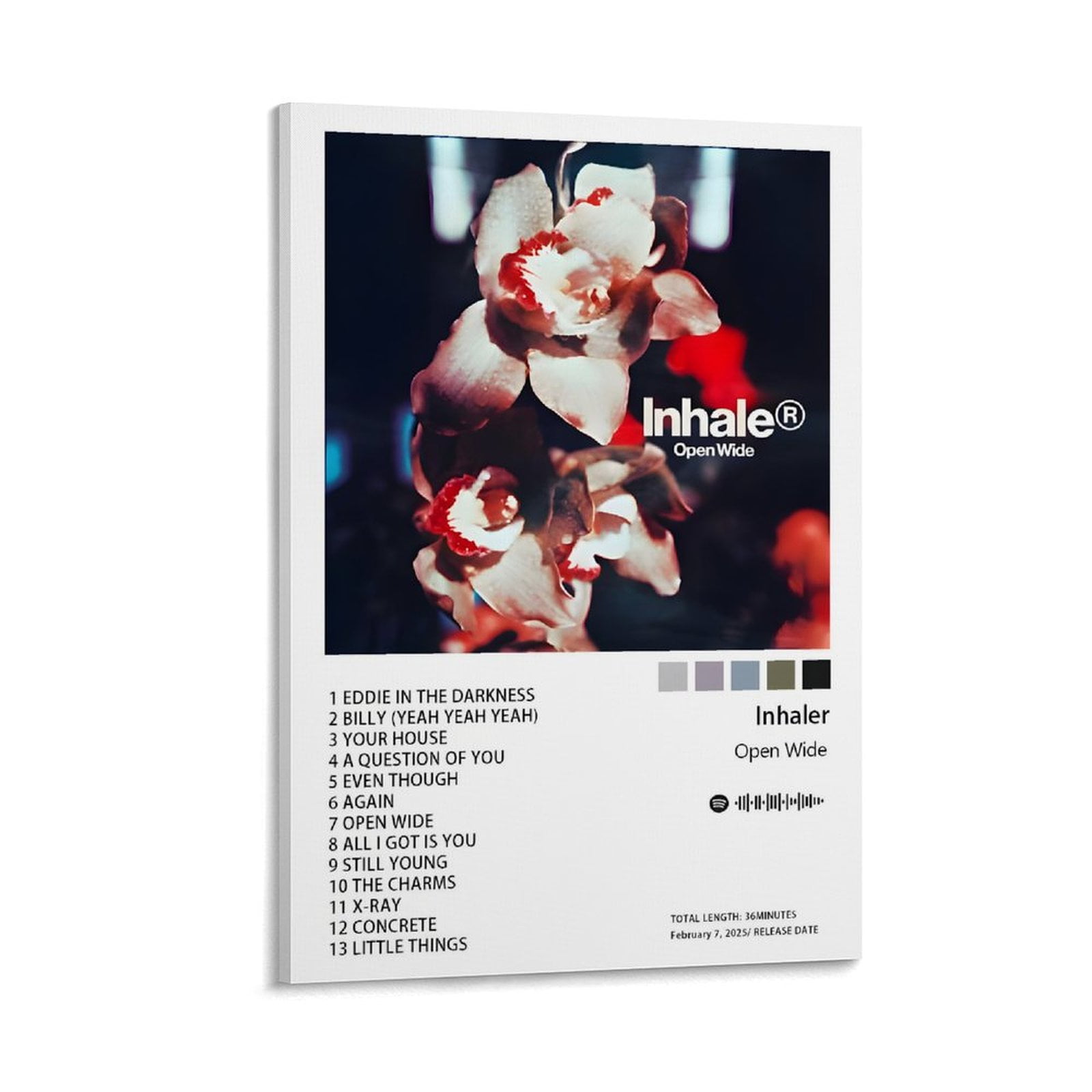 Inhaler Open Wide Album Cover Poster Canvas Wall Art Painting Living ...