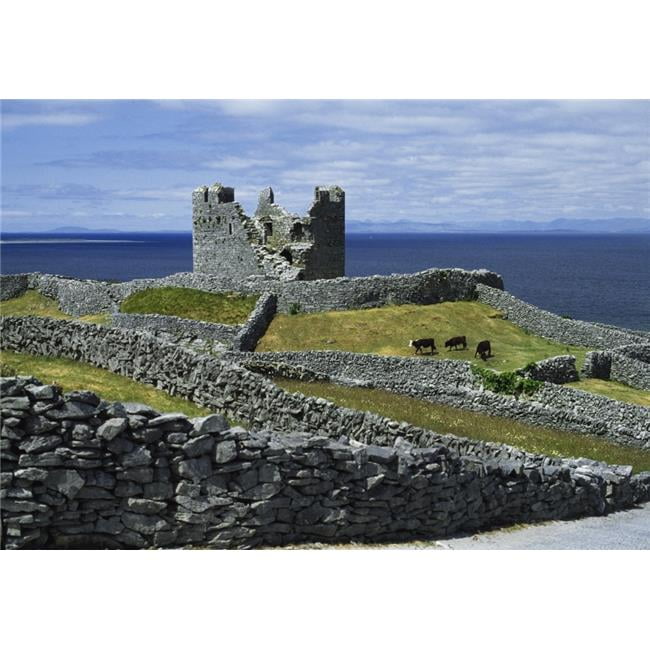 Inisheer Aran Islands Co Galway Ireland; Obrien Castle Poster Print ...