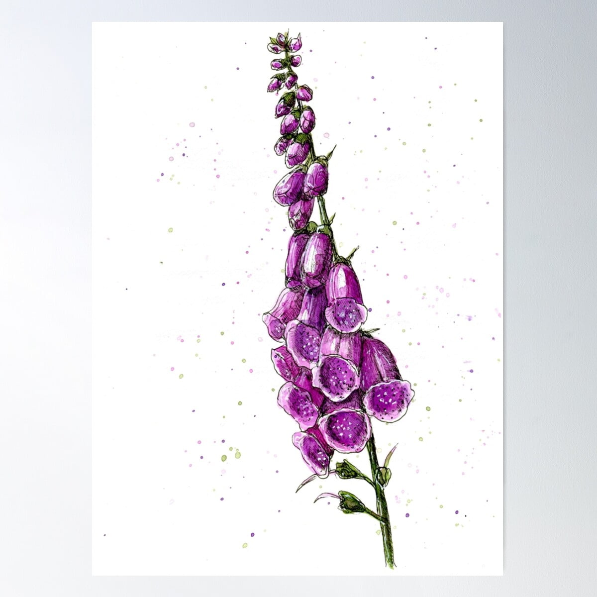 Ink And Watercolor Foxglove Poster Wall Art, Modern Wall Decor For ...