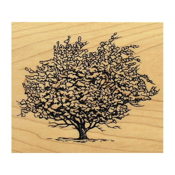 Inkadinkado Wood Stamp Ancient Apple Tree - Walmart.com
