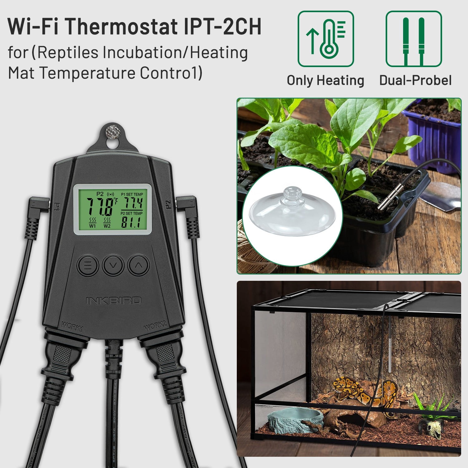 Inkbird IPT-2CH Temperature Controller WiFi Heating Mat Thermostat ...