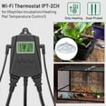 Inkbird IPT-2CH Temperature Controller WiFi Heating Mat Thermostat ...