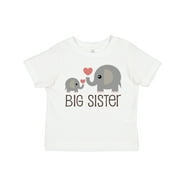 Bold Big Sister Colorful Sibling Reveal Announcement T-Shirt for Baby and Toddler Youth Girls ...