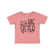 Bold Big Sister Colorful Sibling Reveal Announcement T-Shirt for Baby and Toddler Youth Girls ...