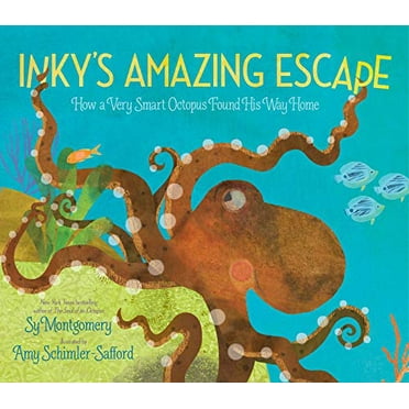 Inky's Amazing Escape: How a Very Smart Octopus Found His Way Home ...