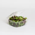 Inline Plastics Safe-T-Fresh Polyethylene Tamper Resistant Square Food ...