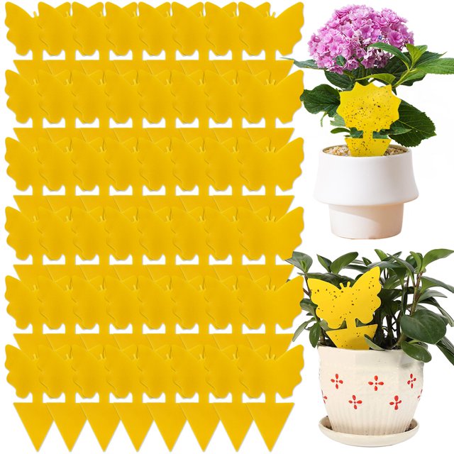 Innens 12-48PCS Yellow Sticky Fly Trap for Plant Fly Gnat Killer Insect ...