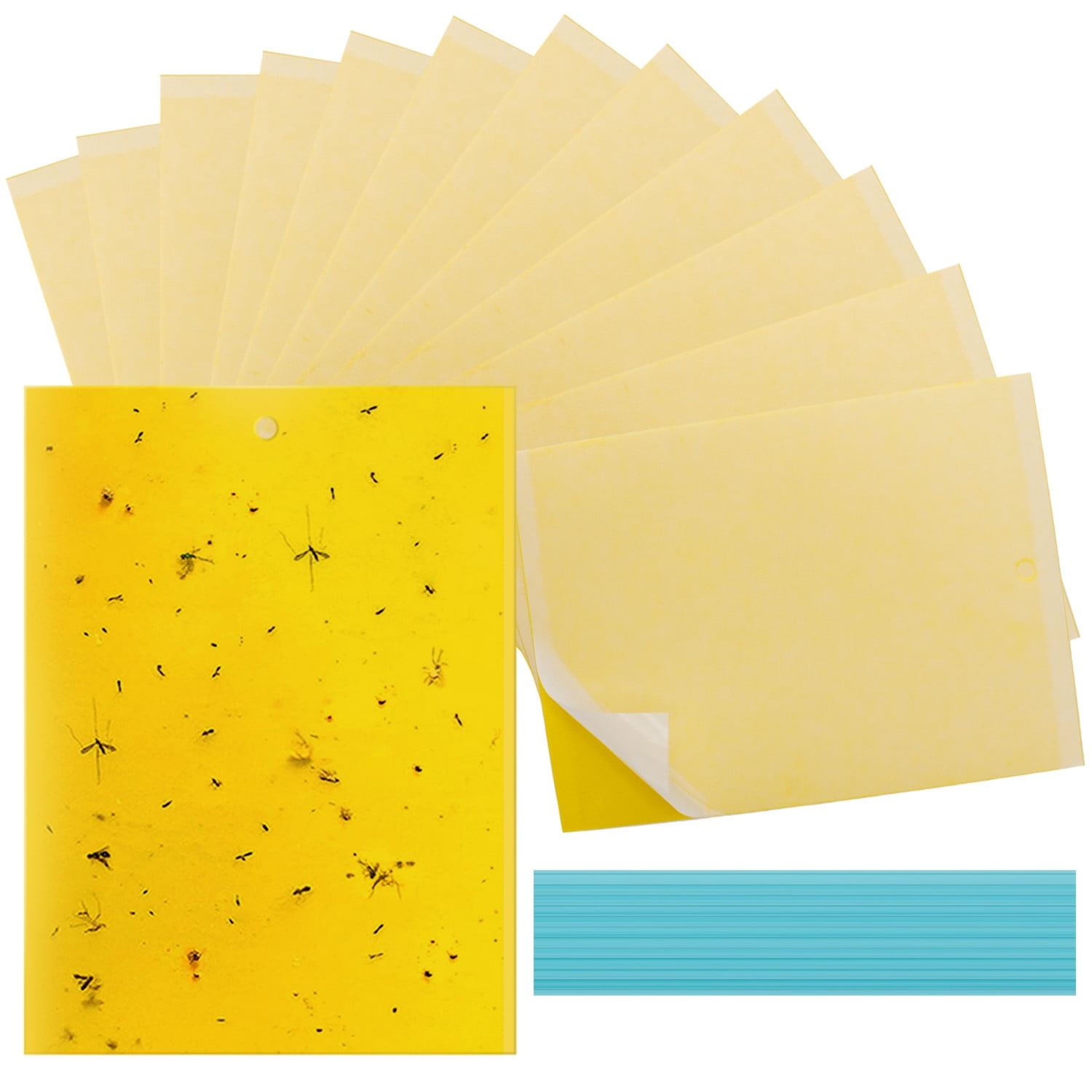 Innens 60 PCS Sticky Fly Traps Gnat Trap Flies Insect Glue Catcher w ...
